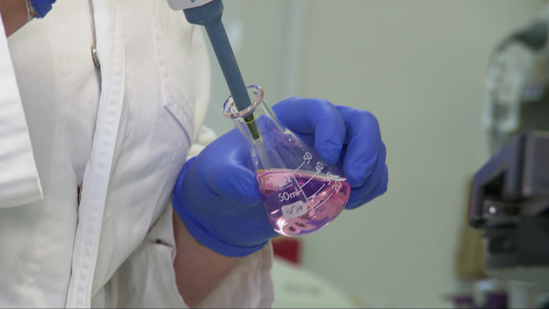 Newcastle study shows extent of PFAS impact on animal fertility – NBN News
