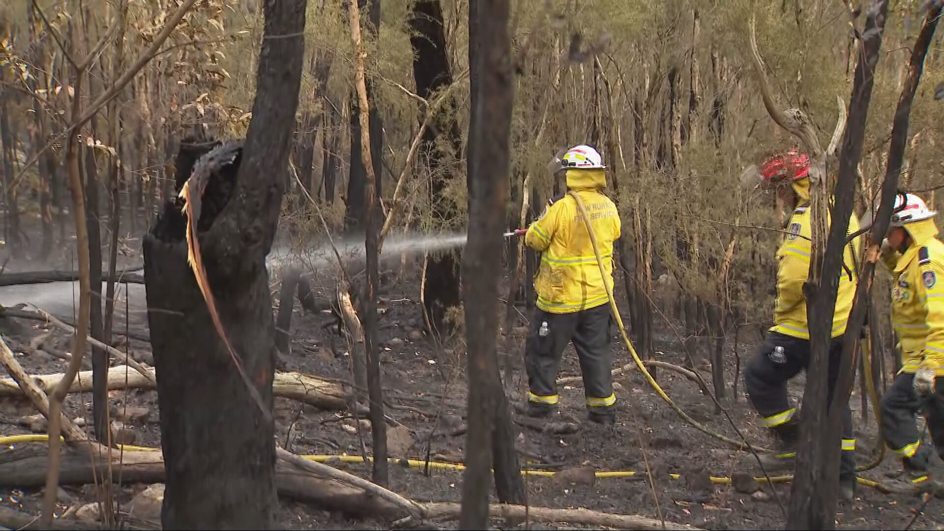 October heatwave: bushfire flares near West Wallsend – NBN News