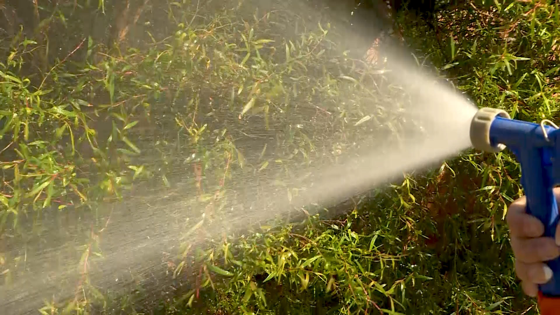 Water restrictions on the cards for parts of the Mid Coast region ...