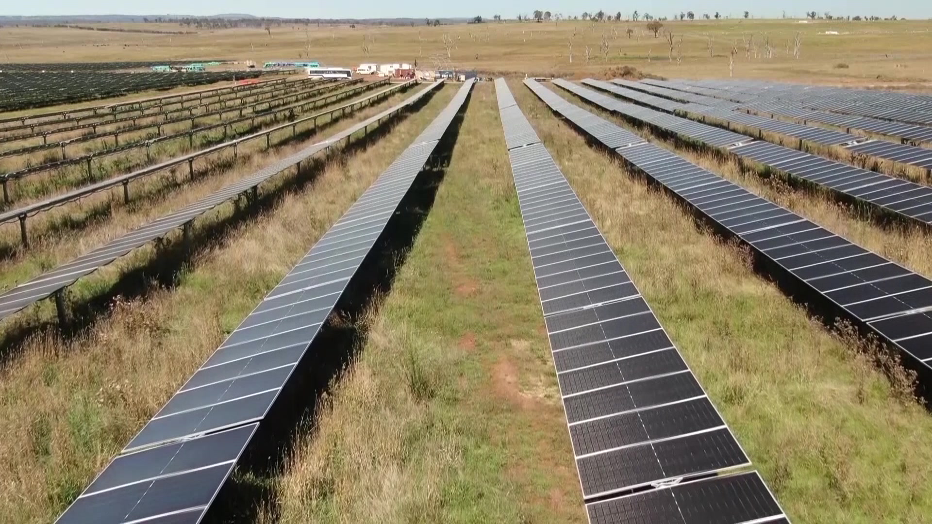 Premier stands firm on New South Wales’ renewable energy rollout – NBN News