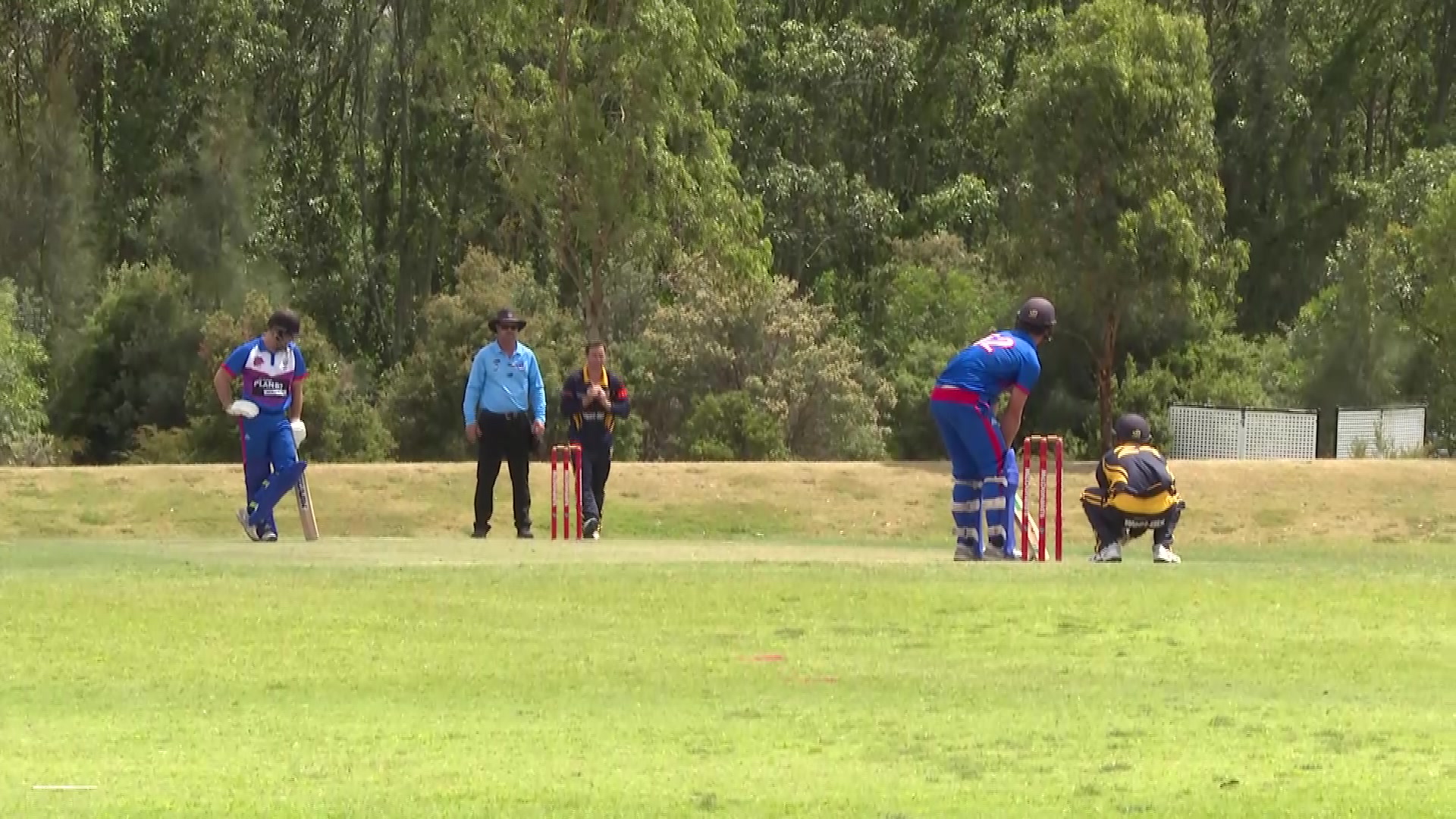 Country Cricket Championship gets underway for day 3 – NBN News