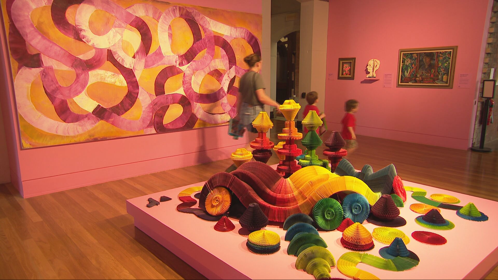 Maitland Regional Art Gallery celebrates 50 years – NBN News