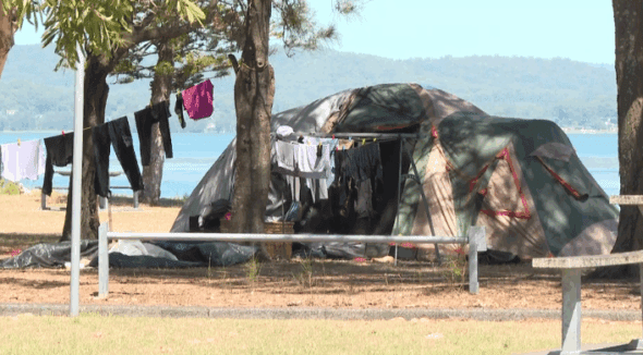 Council issues urgent plea for support over illegal camping – NBN News