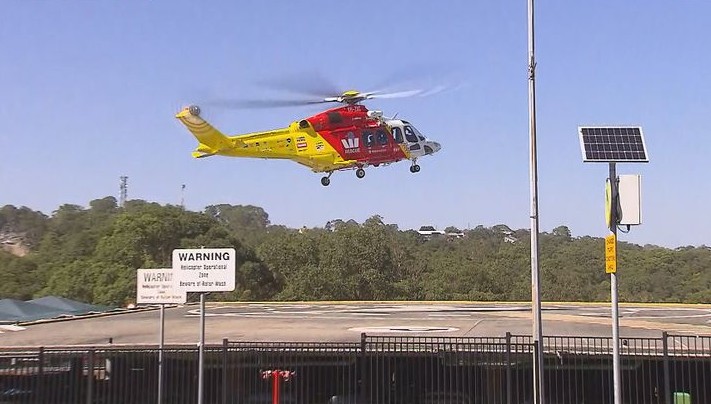 Couple filmed dolphins on GoPro moments before deadly shark attack in ...