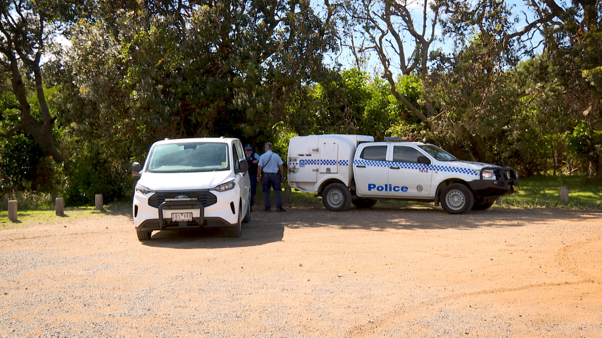 Couple filmed dolphins on GoPro moments before deadly shark attack in ...