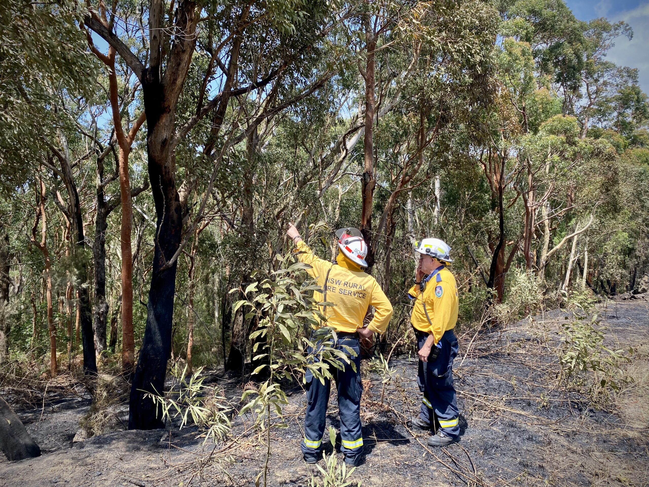 RFS patrols continue at Redhead after ferocious bushfire – NBN News