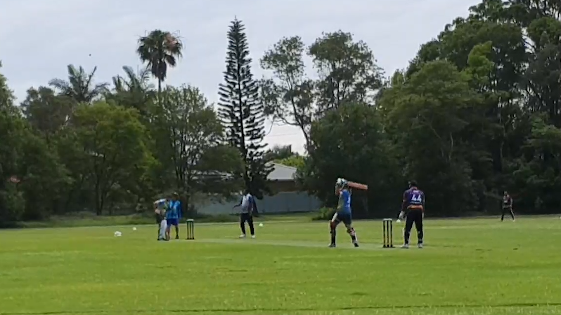 LMS T20 Cricket Port Macquarie this Sunday – NBN News