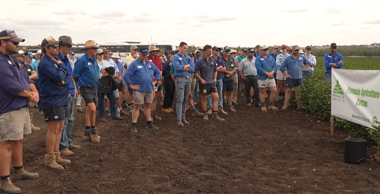 Australian Cotton Grower of the Year open gates for field day – NBN News