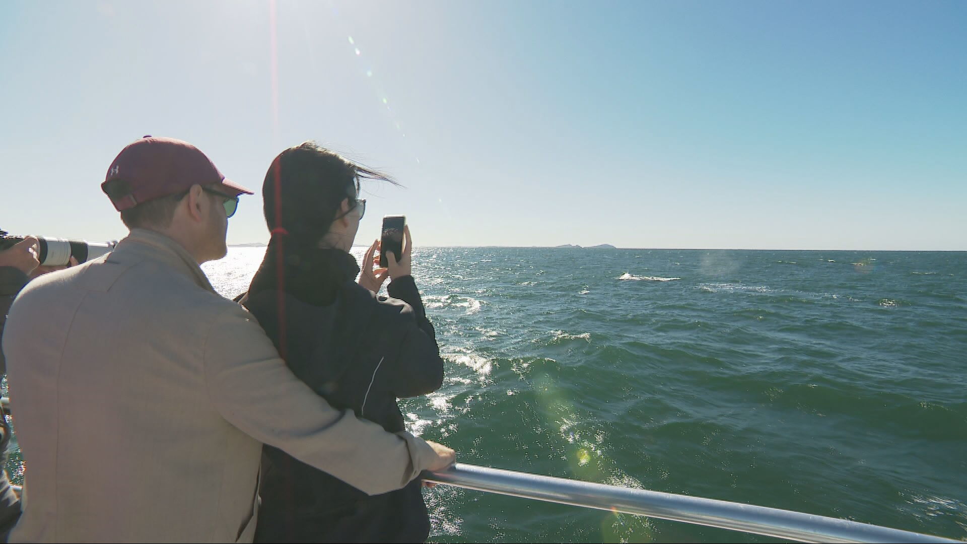 Annual whale migration in full swing along east coast – NBN News