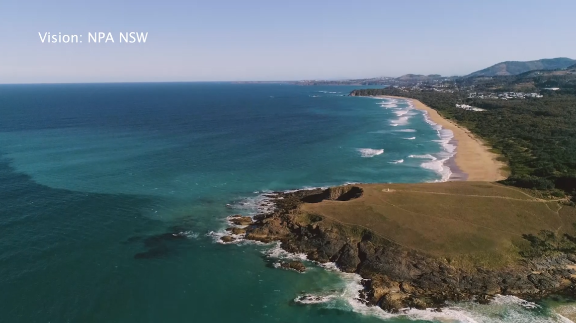 Calls for more protection of Solitary Islands Marine Park – NBN News
